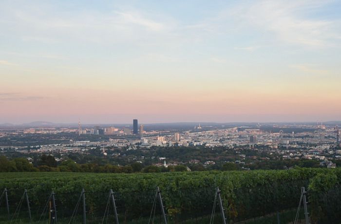 Mit BERGFÜRST in Wien investieren